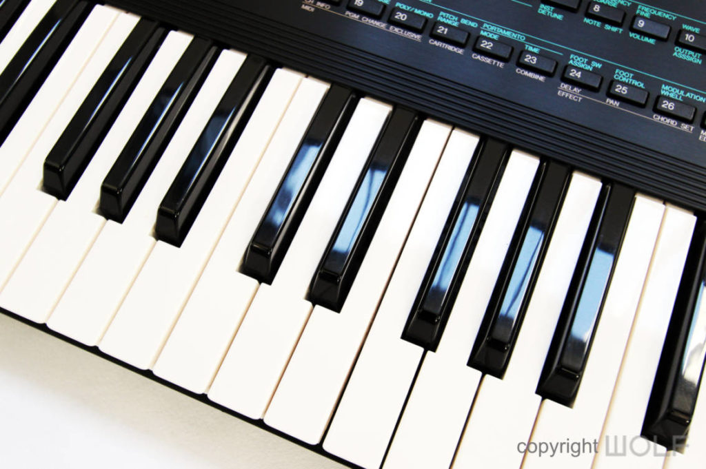 Yamaha DX11 Synthesizer (1987) | WOLF COLLECTIONS