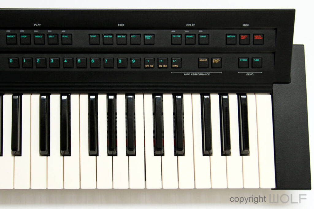 Yamaha DS55 Synthesizer (1988) | WOLF FASCINATIONS